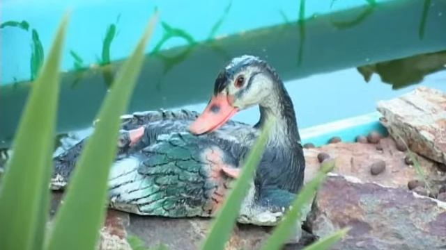 Модернизация учреждений здравоохранения. Август 2012 год.