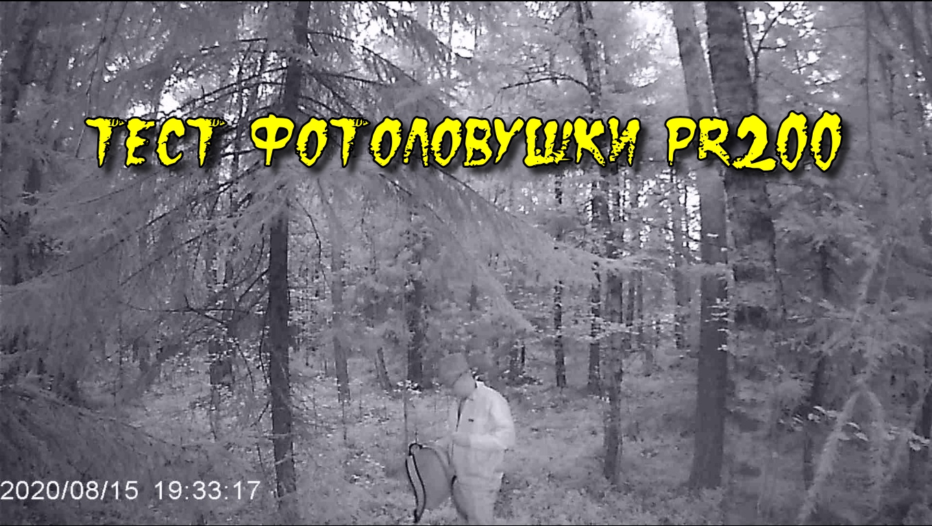 Тест фотоловушки PR-200. Грибное место