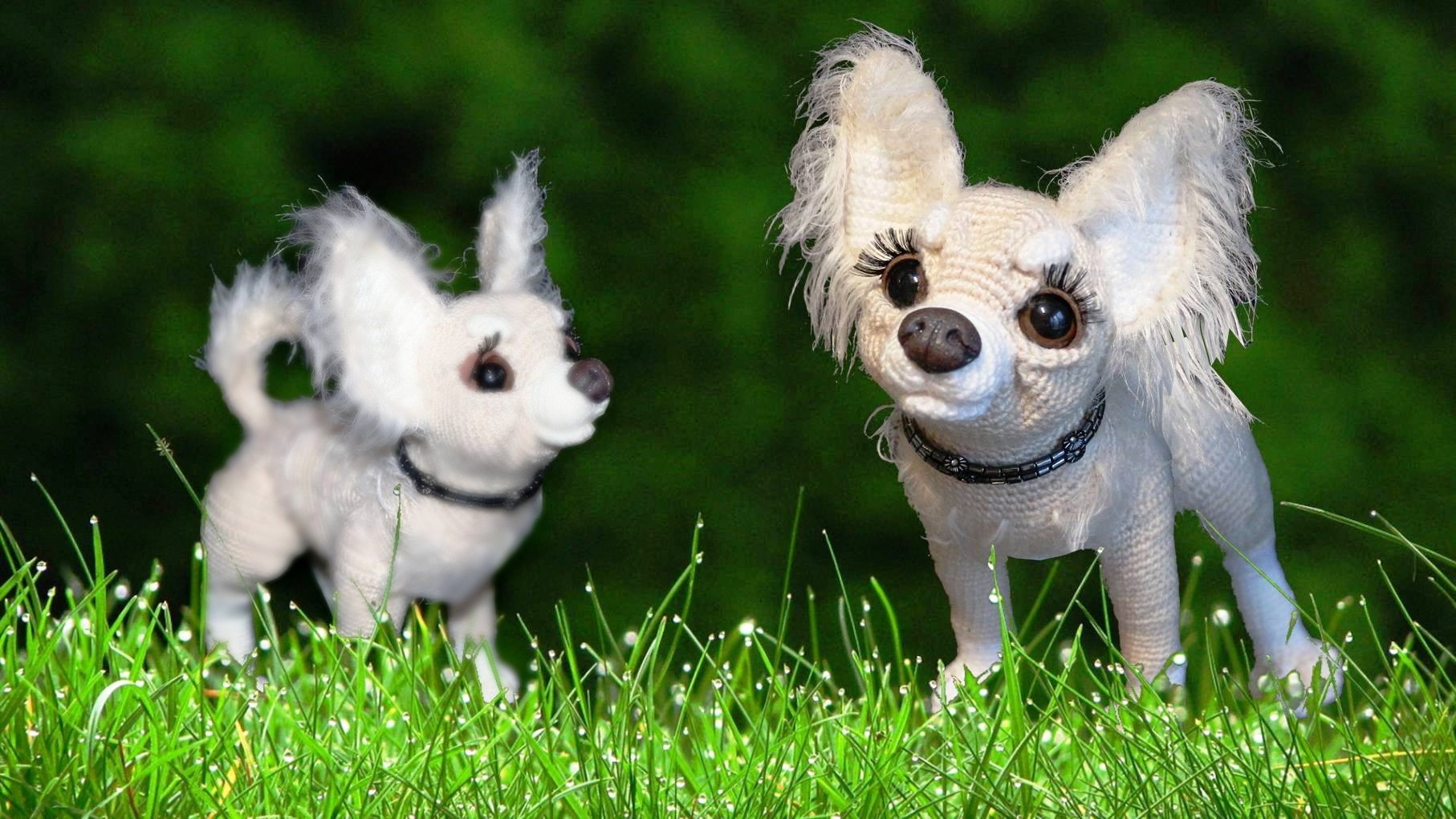 Мастер-класс Чихуахуа крючком (видео МК)-4 часть