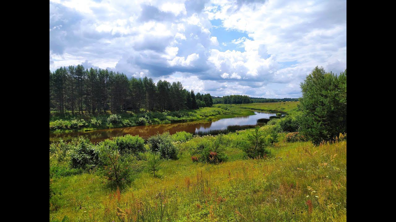 Река Медведица, Тверская обл., июль 2023