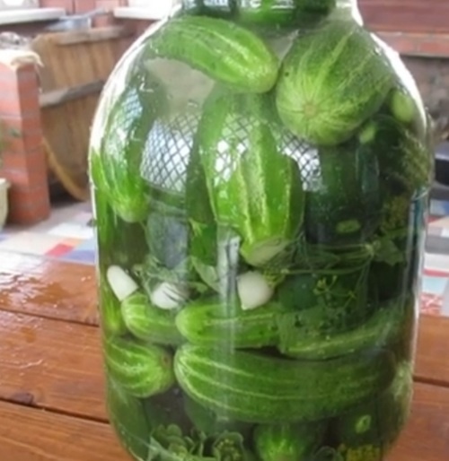 Огурцы холодным посолом  Рецепт.