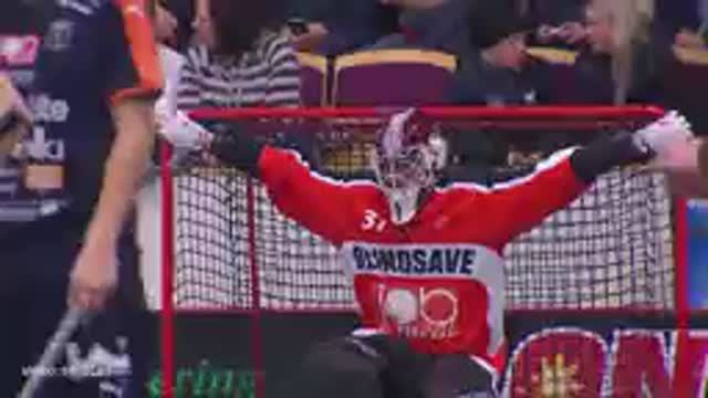 Сила вратарей | История Blindsave | Floorball