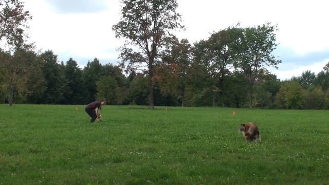 Кубок Клуба Комбо Маргарита и Вижн.mp4