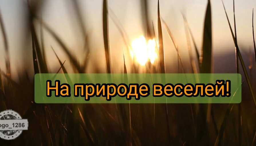 На природе веселей.