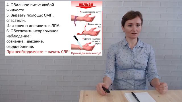 Осторожно, бродячие животные! Укусы и их последствия.