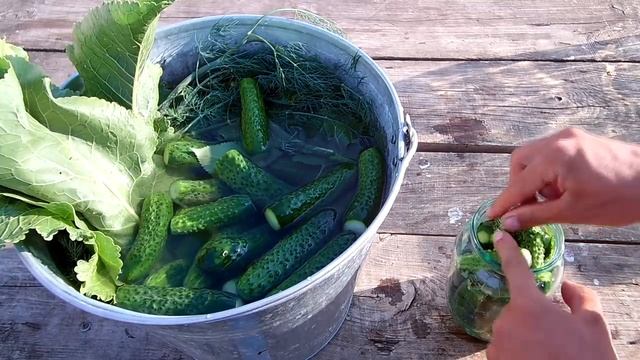 Маринованные хрустящие огурчики "Просто чудо" БЕЗ УКСУСА!