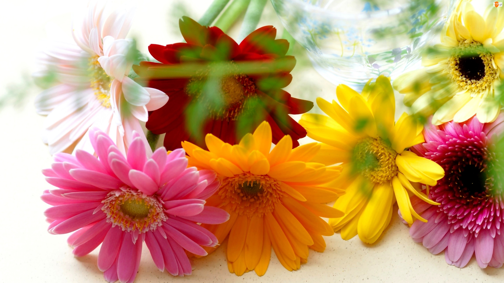 Поздравление с Днем Рождения для Татьяны!.mp4