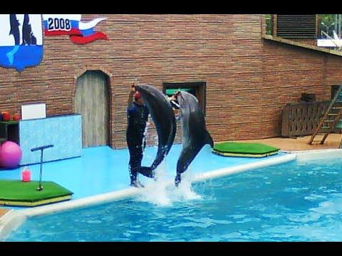 Дельфинарий в Адлере - 2008