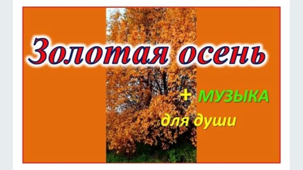 ЗОЛОТАЯ ОСЕНЬ. Александра Миркушова