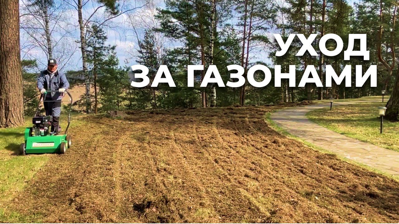 Уход за газонами | Твой Сад