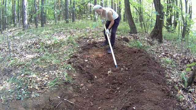 Контруклоны