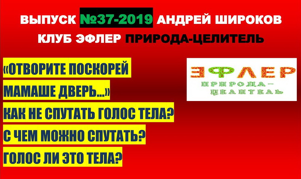 СЛУШАЙ ТЕЛО, но не спутай ГОЛОС ТЕЛА с шумами и чужаками...Паба-дуба, паба-дуба, пада-ба.
