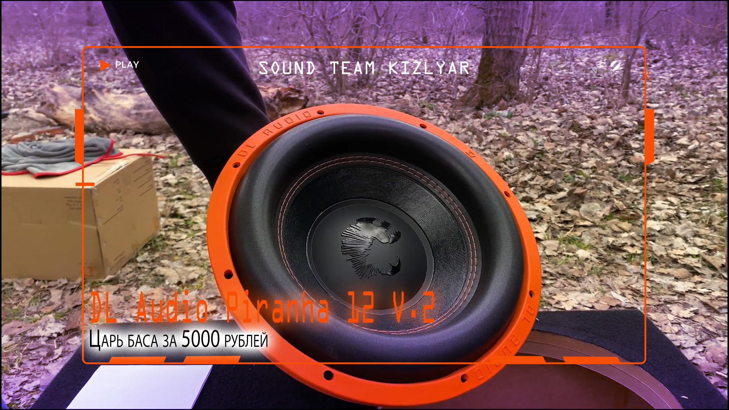 Царь баса за 5000 рублей! Сабвуфер DL Audio Piranha 12 V.2