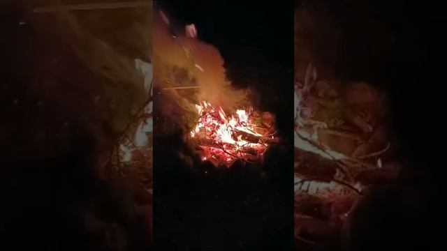 Незабываемые выходные на Вуоксе ?️?️