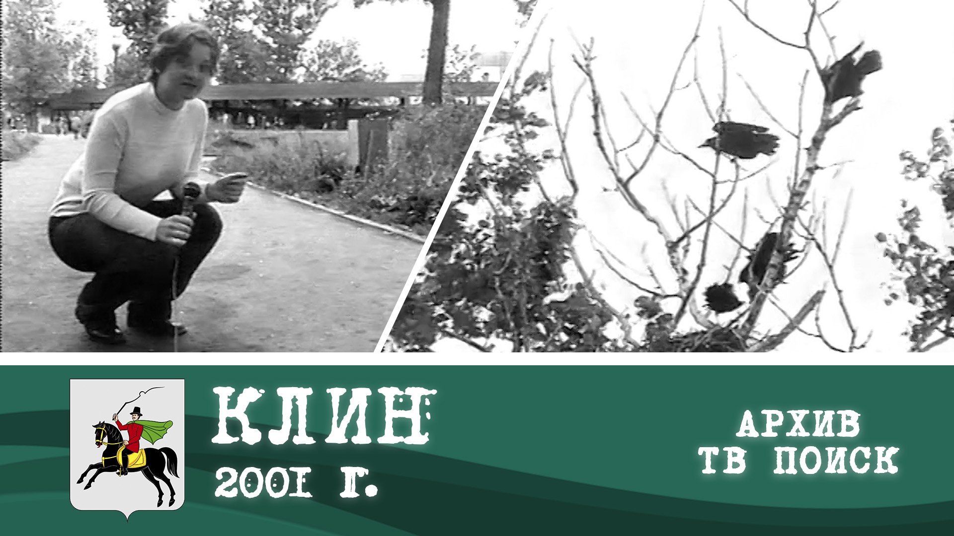 Вороны атакуют клинчан 13.06.2001