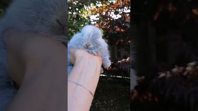 Всем доброго утра и хорошего дня