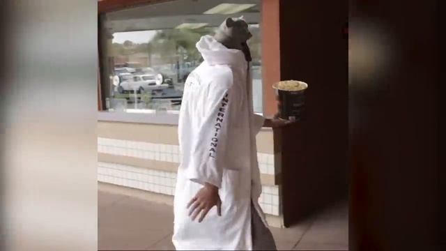 Aaron's Animals - Compilation