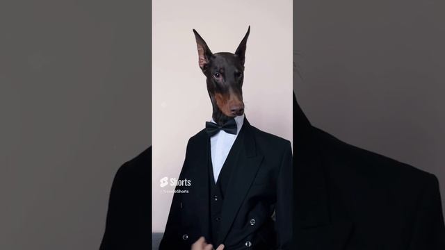 Собакен 2024, часть 3