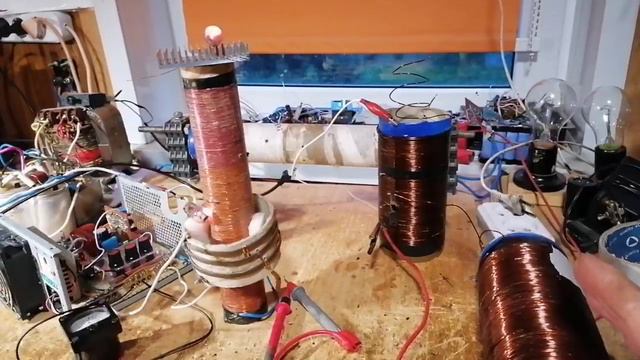 Начало опыта по схеме Васмуса