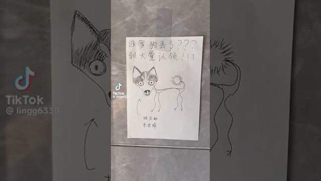 Потерялась собака - в объявлении рисунок