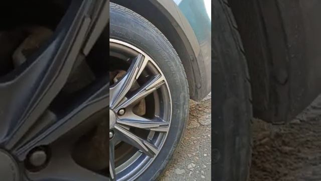 Shine systems tyre&wheel cleaner