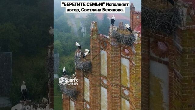 ? БЕРЕГИТЕ СЕМЬИ! Исполняет автор, Светлана Белякова. СТИХИ СО СМЫСЛОМ.