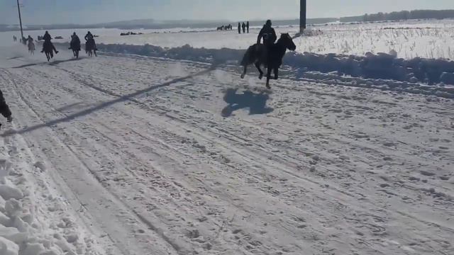 Сумасшедшие зимние скачки. Башкиры