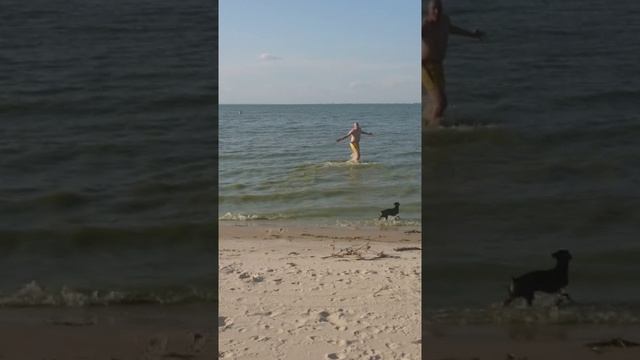 Море по колено... Азовское.