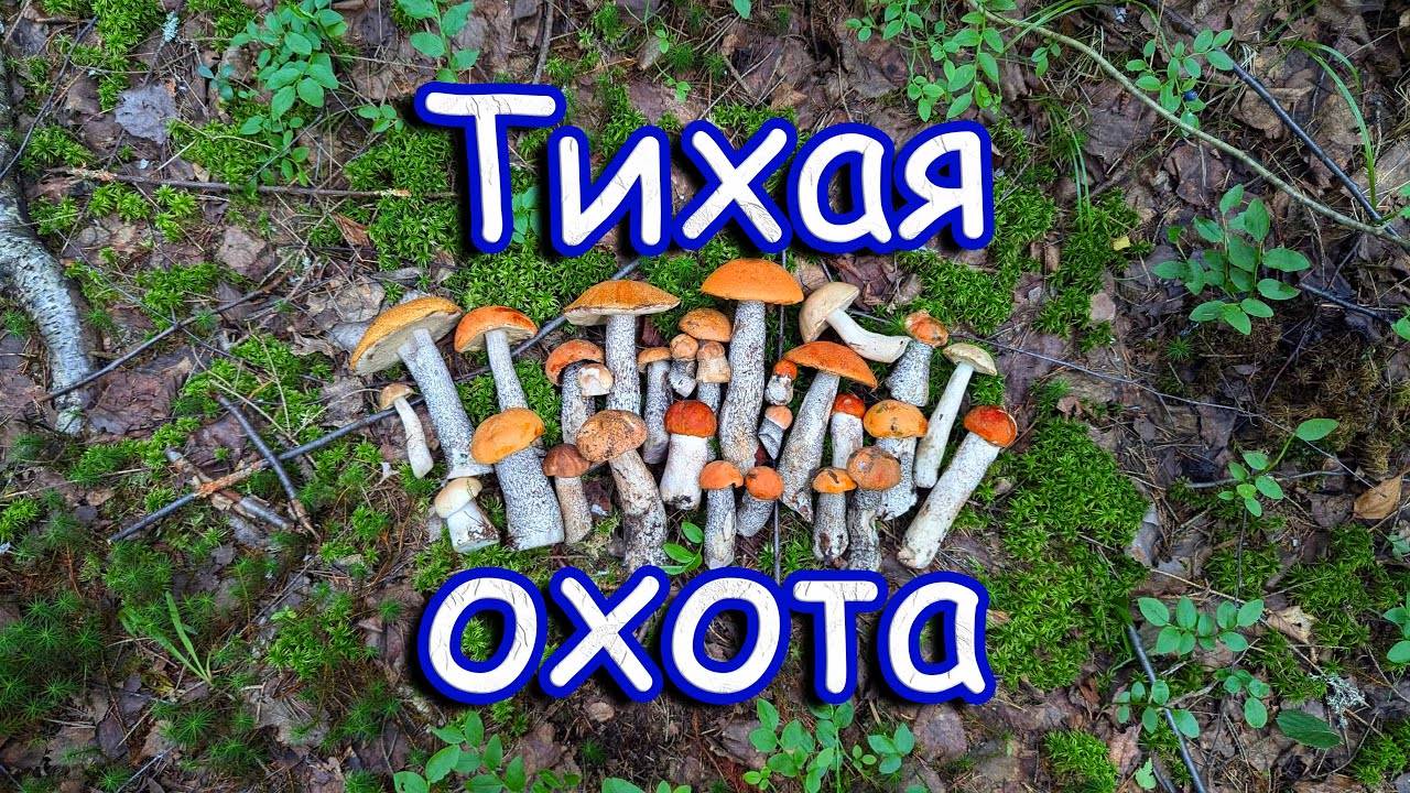Красноголовики, ко мне! :D