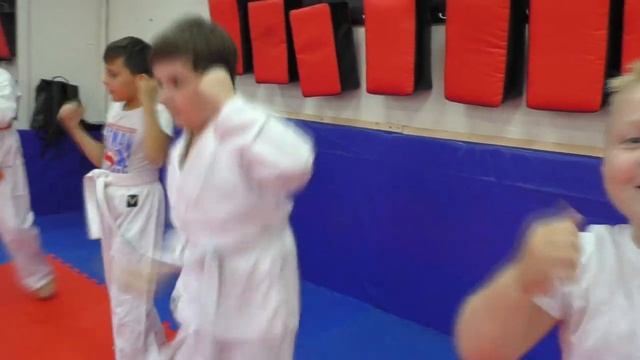 Каратэ киокусинкай