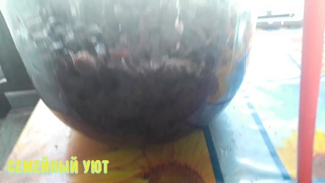 Вино 2021. Неурожай. Ставим вино на жмыхе