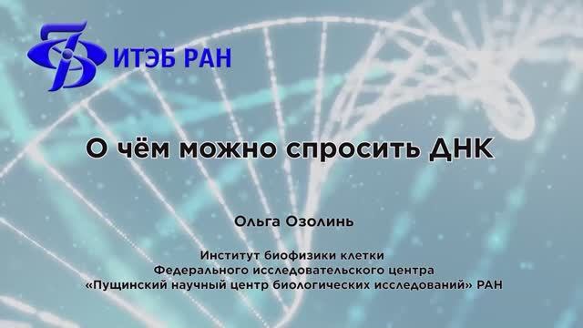 02 - Озолинь Ольга Николаевна.mp4