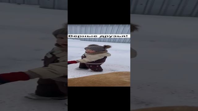 Топ-топ, мелкие шажки