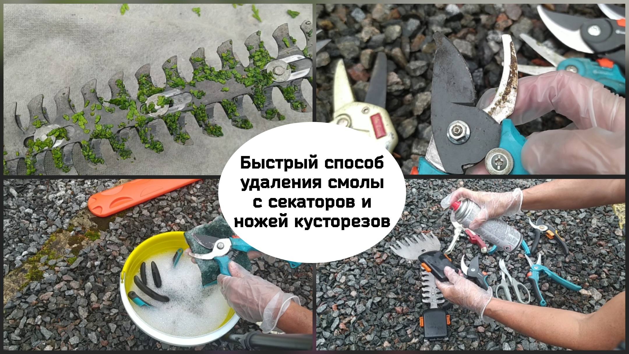 Простой способ удаления смолы с секаторов и ножей кусторезов.