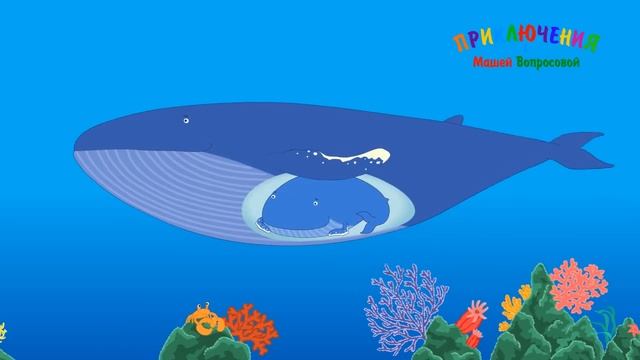 Приключения с Машей Вопросовой (Серия №4)