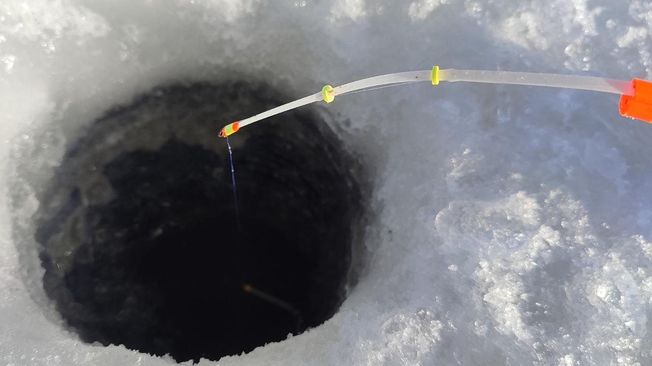 Эхолот разрывался от такого количества рыбы. Ловля плотвы в палатке