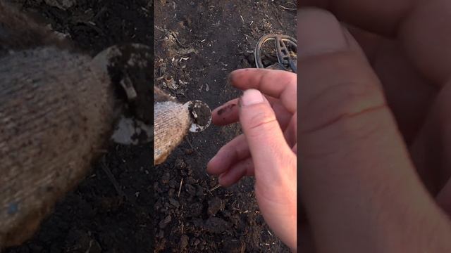 Отличная находка, с металлоискателем, из древности! #впоискахсокровищ #кладоискатели #shorts #short