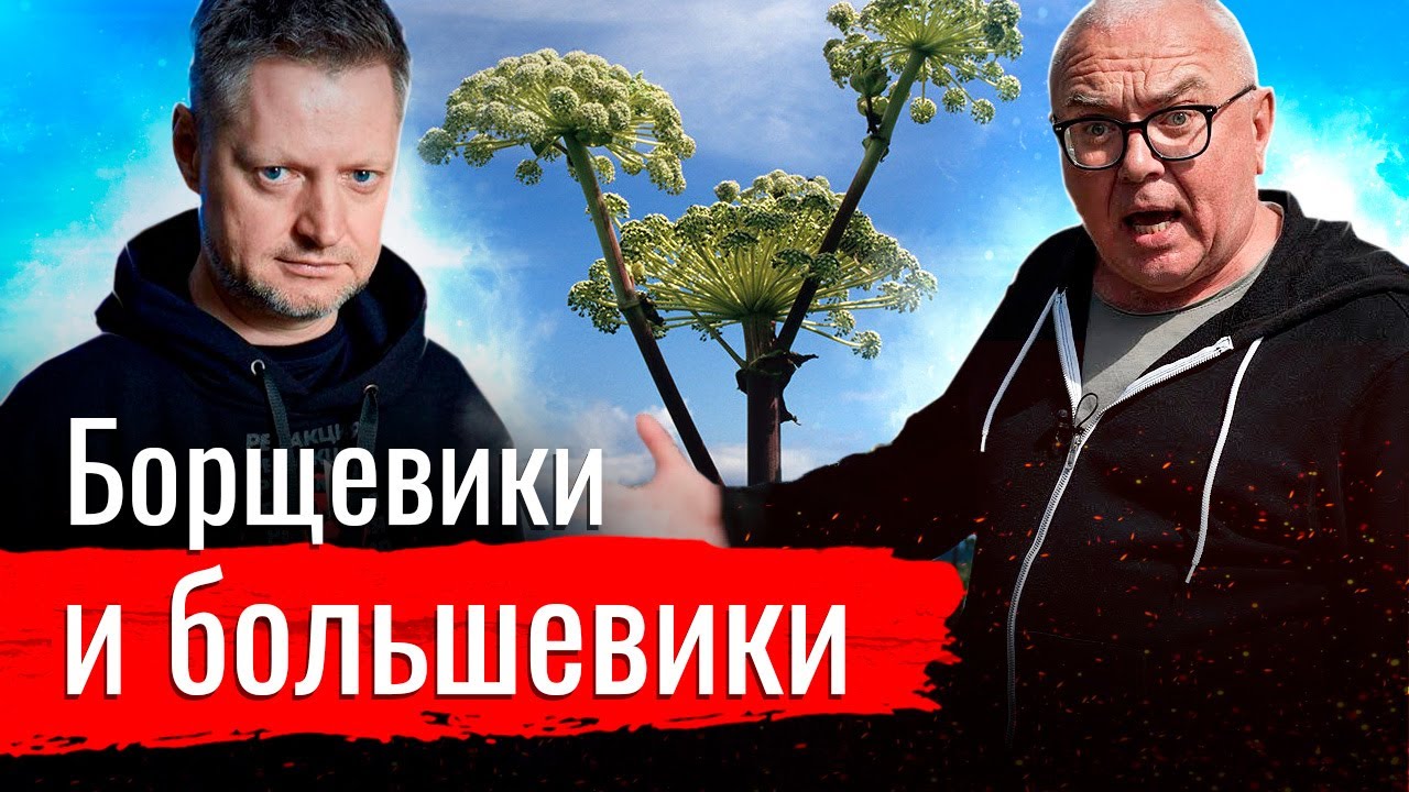 Борщевики и большевики //  Красный Патруль