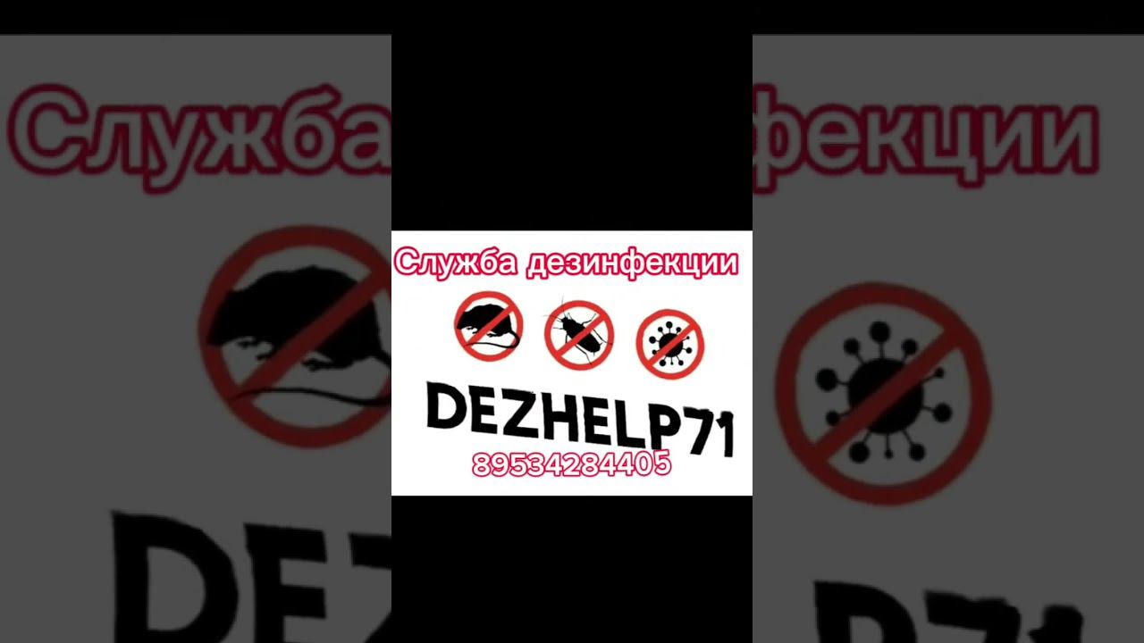 Служба дезинфекции Тульской области|Подпишись | #службадезинфекции #сэстула