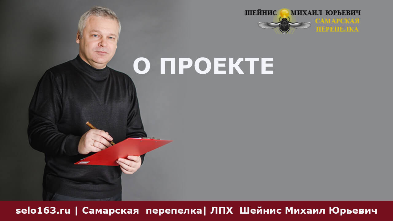 о проекте