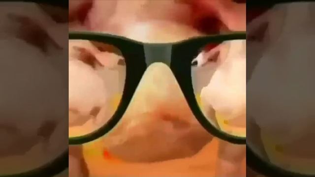 Курочка гриль