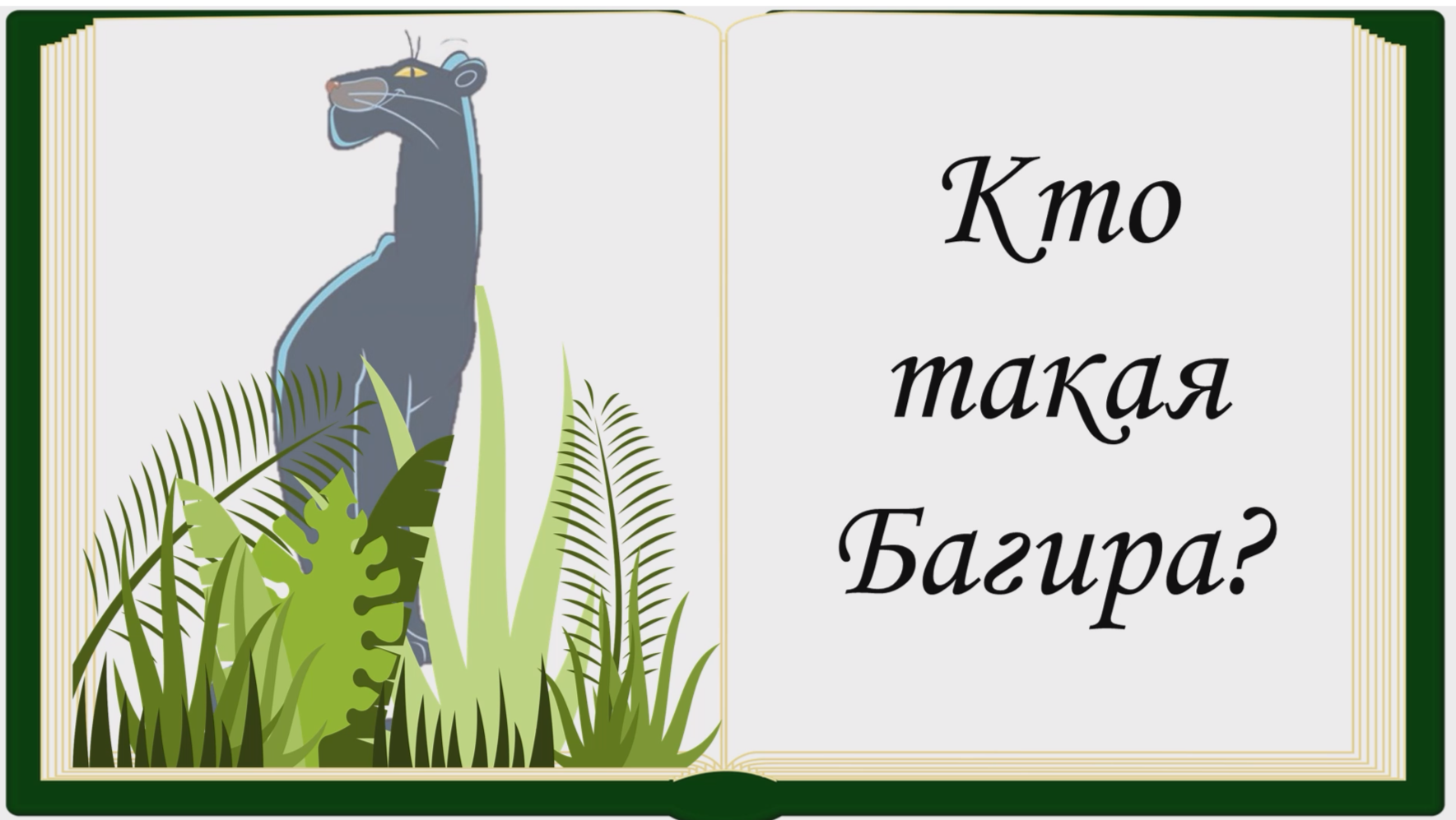 Что не так с Багирой?