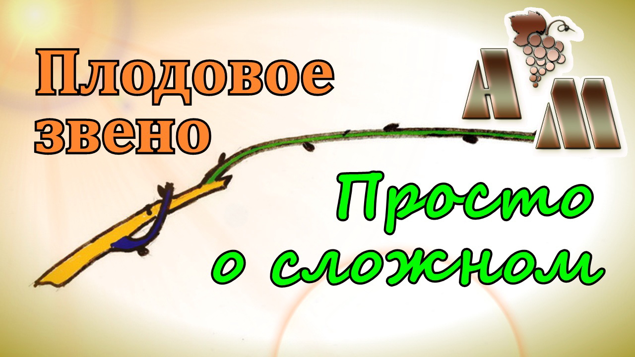 ? Плодовое звено. Просто о сложном