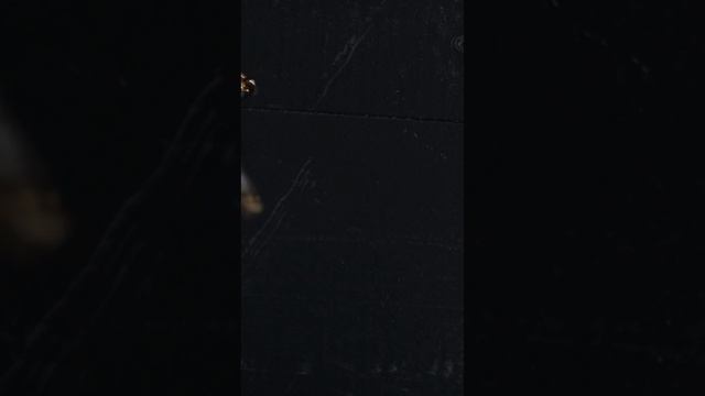 Цепь Псалом Давида 22 Арт.04.148 #Shorts