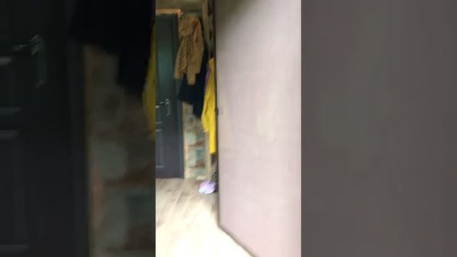 Москитная дверь