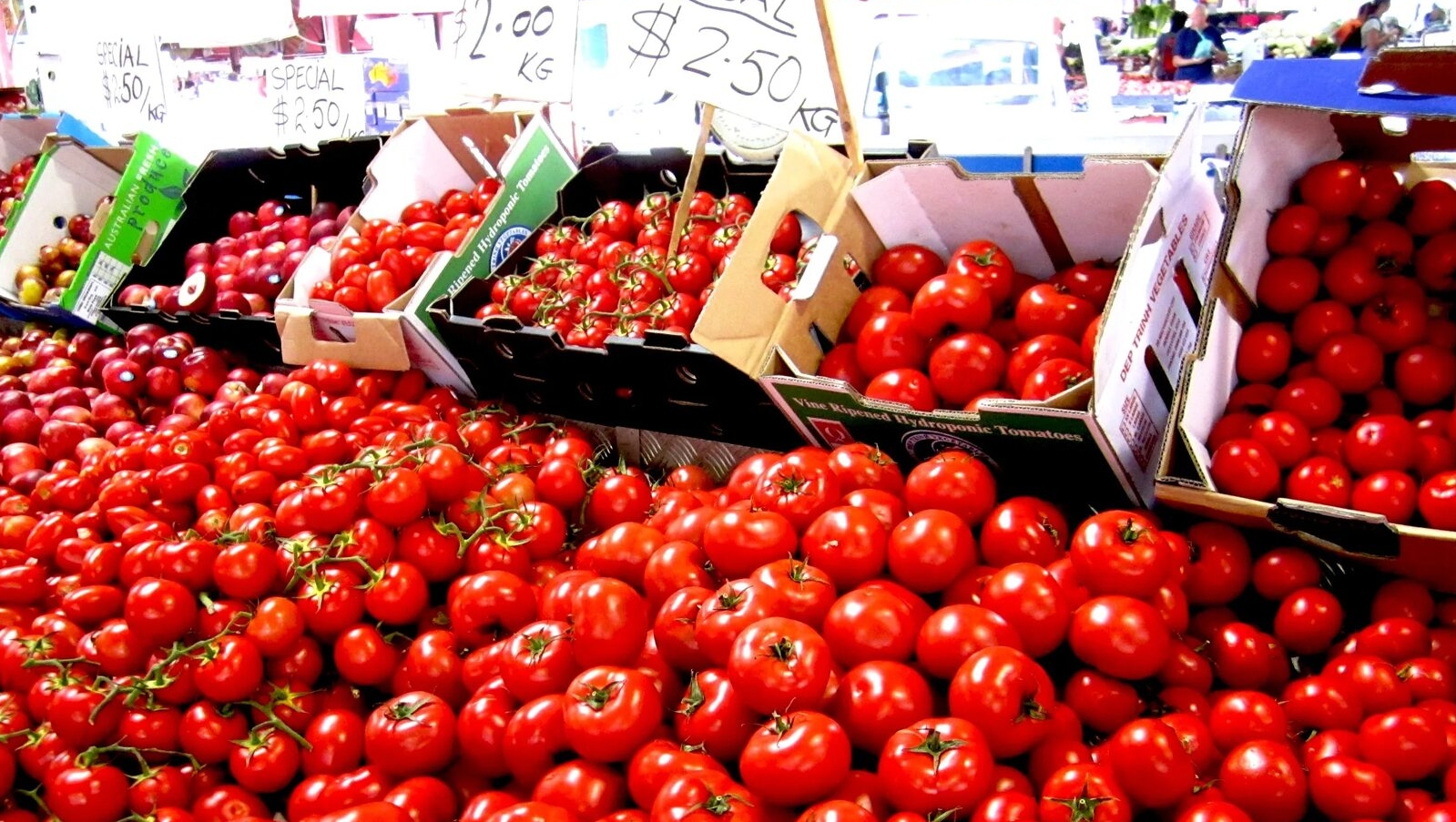 Раздаю помидоры