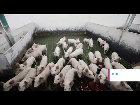 Сельская среда 23.02.2022