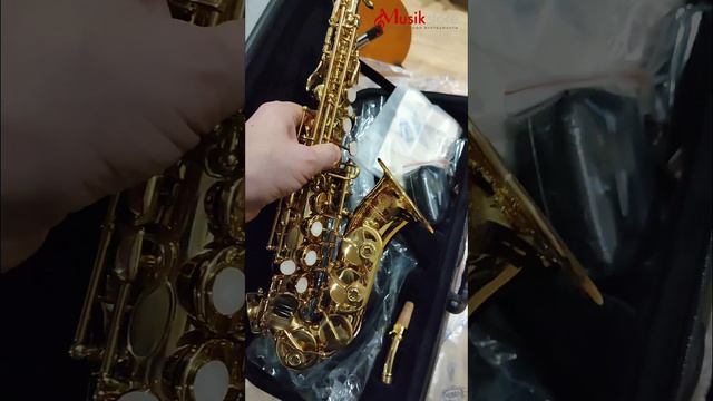 Саксофон сопрано Vibra. Какой купить саксофон?| Мьюзик-Стор| musik-store.ru / #саксофон #купить