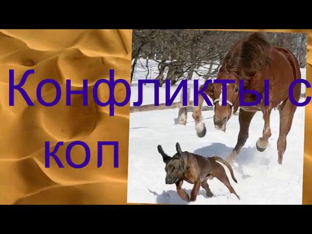 Пора в отпуск