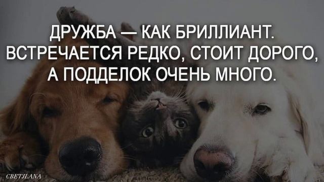 ??...мудрые изречения...✍️. (2)